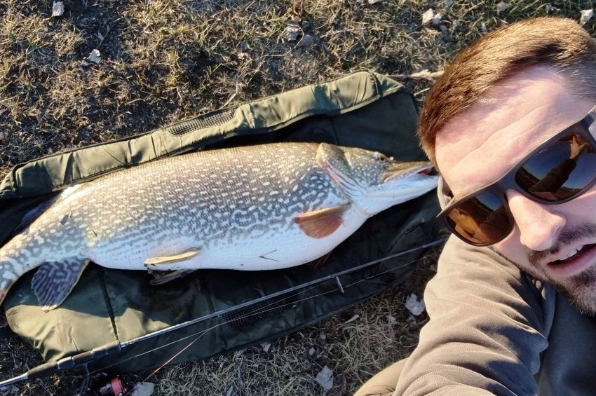 This pike must be very close to world record weight