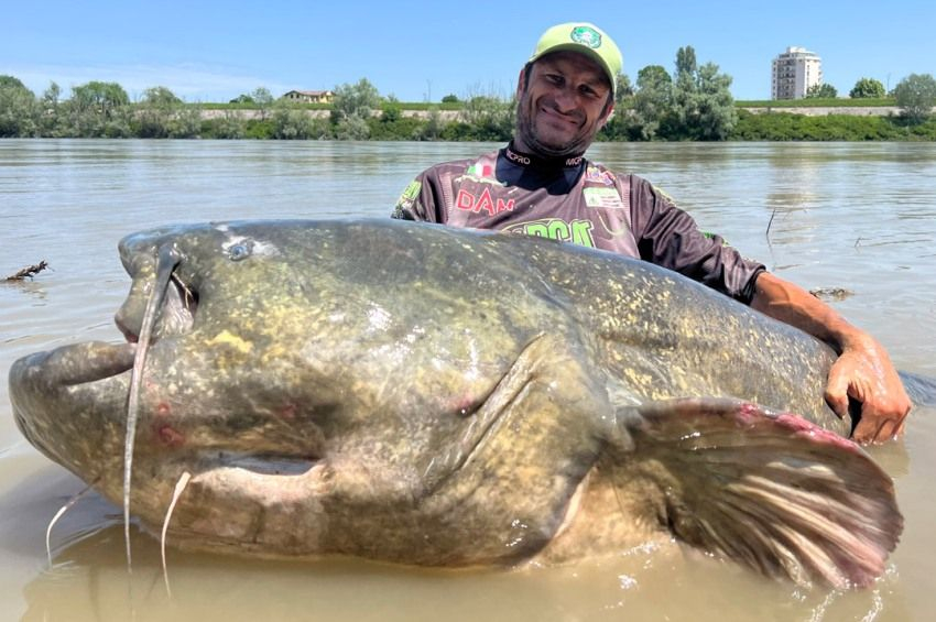 Magyarországra látogat a világcsúcstartó olasz harcsahorgász