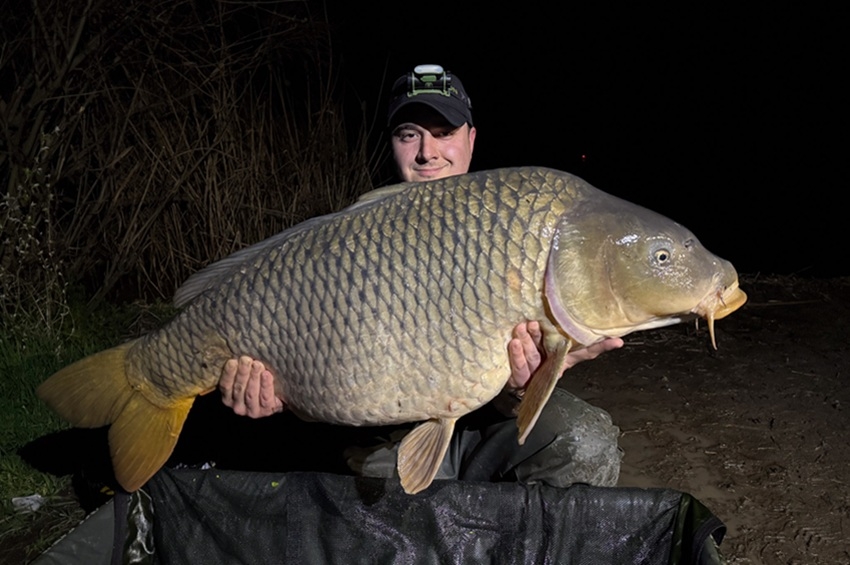 Alulról súrolta a harmincast a Tisza-tavi matuzsálem