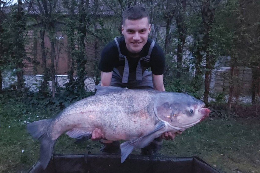 Pergetés közben akasztottak kapitális busát Ráckevén