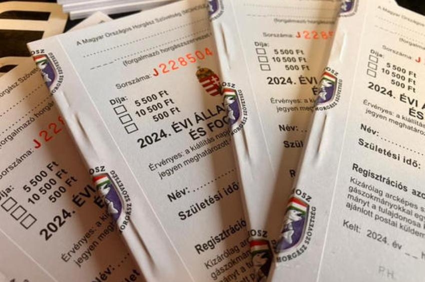 Így kerüld el, hogy plusz ötezret kelljen fizetni az állami jegyért!