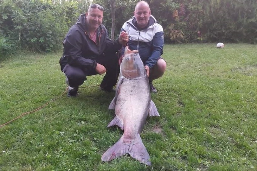 46 kilós busát akasztottak pergetés közben az RSD-n