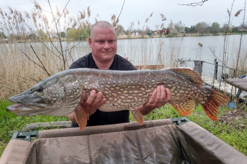 Minden idők harmadik legnagyobb hitelesített csukáját fogták az RSD-n