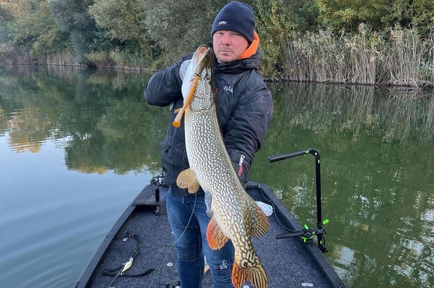 Bejött a terv: minél nagyobb gumihal, annál nagyobb csuka – fotókkal