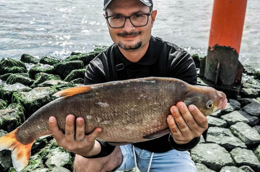 Óriási dévérkeszeget fogtak gumihallal pergetve