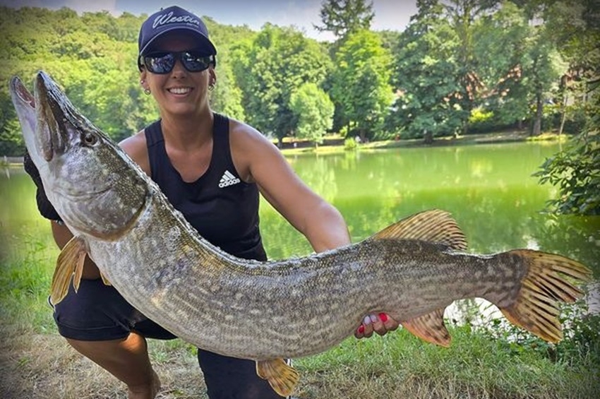 Így fogták ki a becsaphatatlannak hitt óriáscsukát – fotókkal, videóval