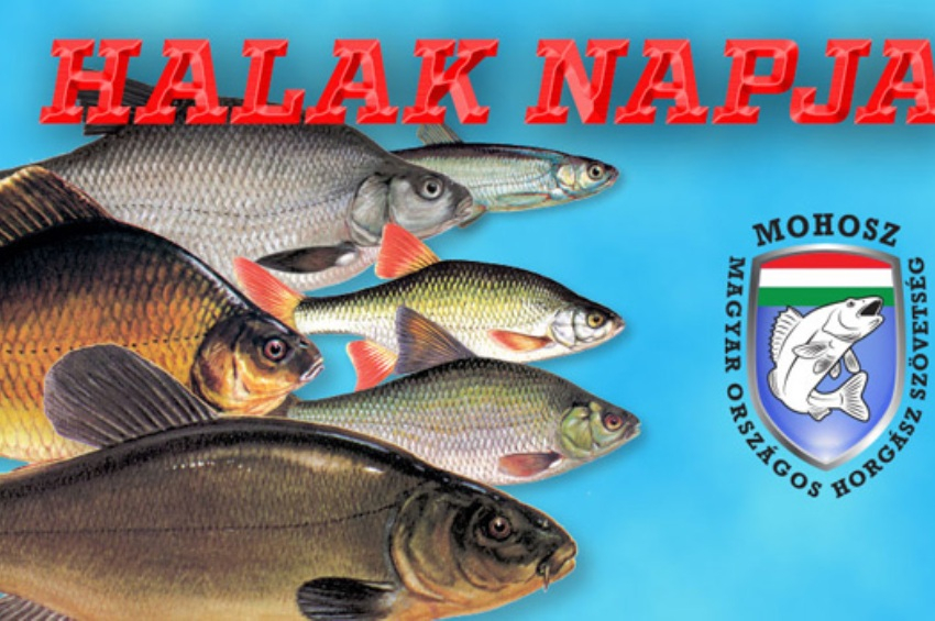 Online tanórát tartanak a Halak és Halőrök Napja alkalmából