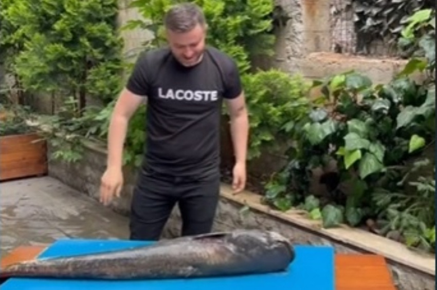 1 percben a harcsa szakszerű feldolgozása – videó