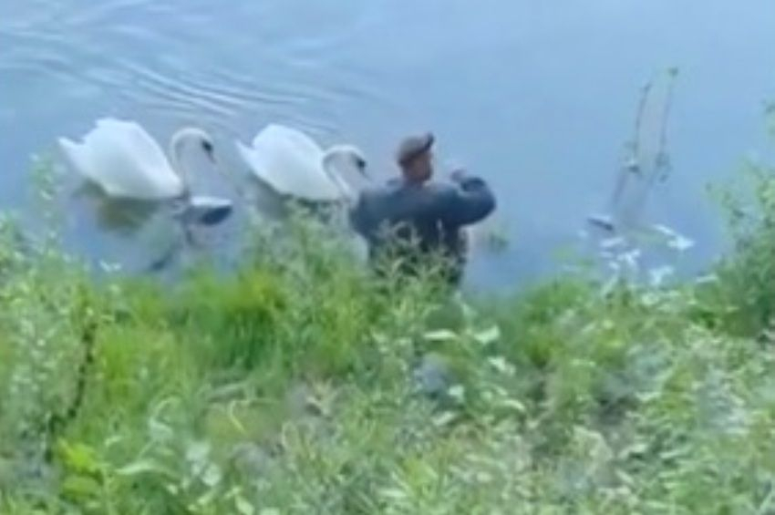 240 ezer forintos bírságot kapott a ponty- és hattyúgyalázó horgász