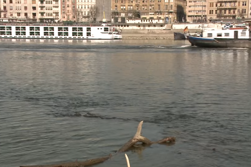 Ilyen még sosem történt: márciusban bukkant elő a Dunából az Ínség ...