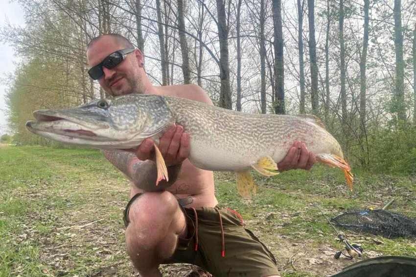 Egyméteres csuka koronázta meg a húsvétot a Keleti-főcsatornán – videóval