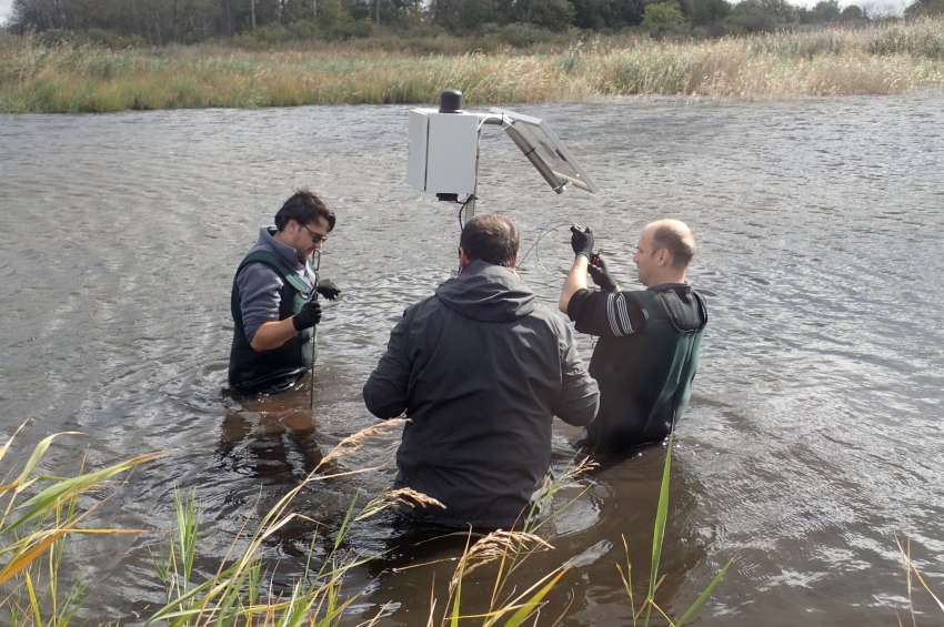 Modern technika védi mostantól a kihalás szélére sodródott őshonos ...