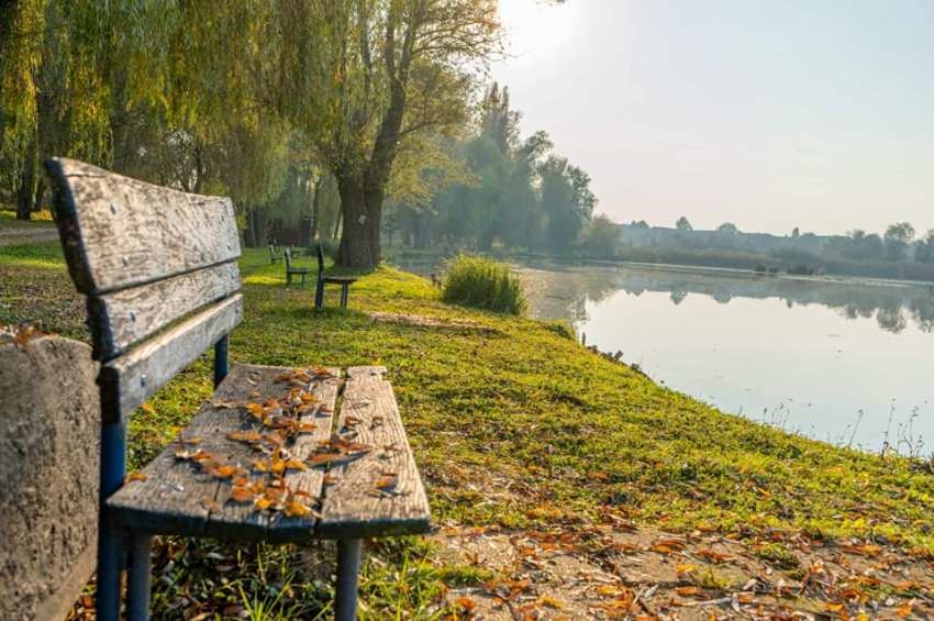 Nemrég iszapból mentették a harcsákat, most 120 milliót nyertek ...