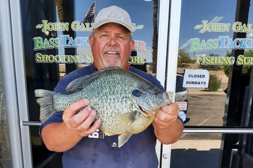 Világrekord! Háromkilós naphal akadt horogra Amerikában