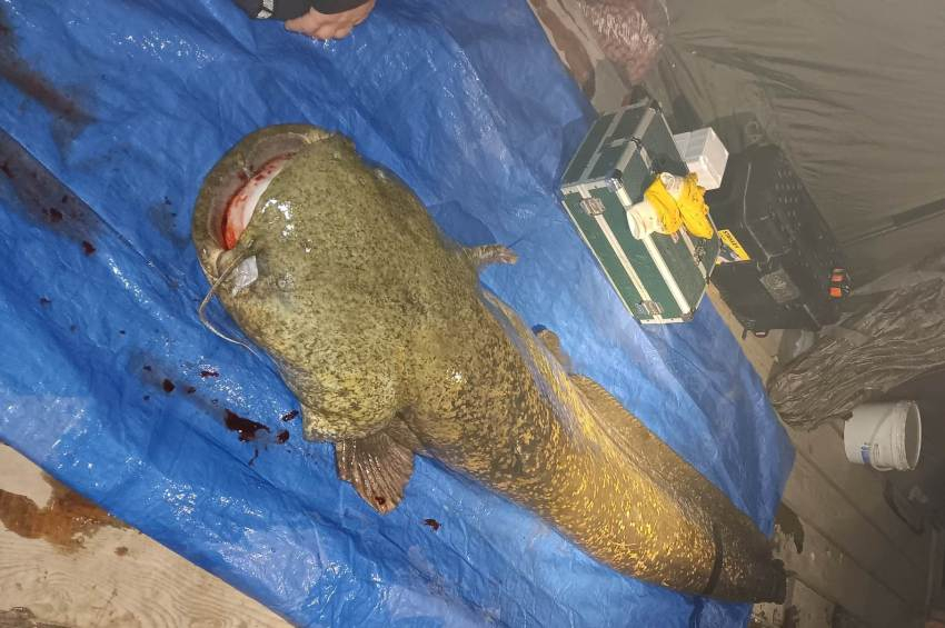 Ismét átlépték a 100-as álomhatárt Ohaton – fotókkal, videóval