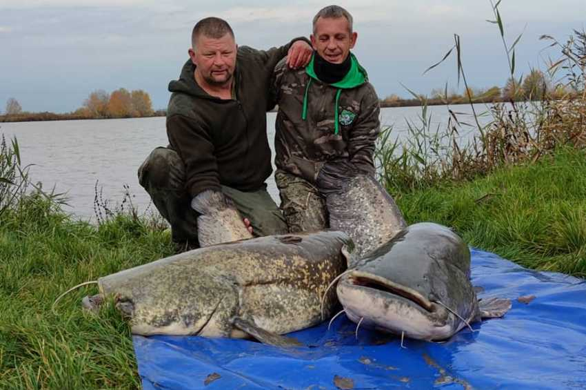 Gyönyörű harcsapárost fogtak Ohaton – fotókkal, videóval