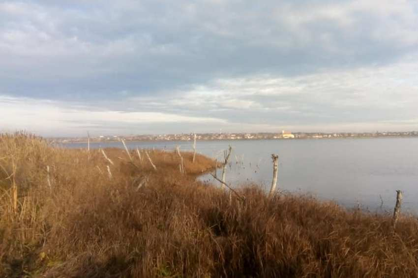 Oxigénhiány a Pátkán: jetskikkel próbálják meg felpezsdíteni a vizet