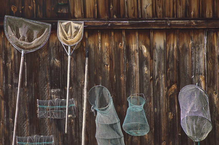 Székre ültették a rendőrök a száktolvajt – fotókkal