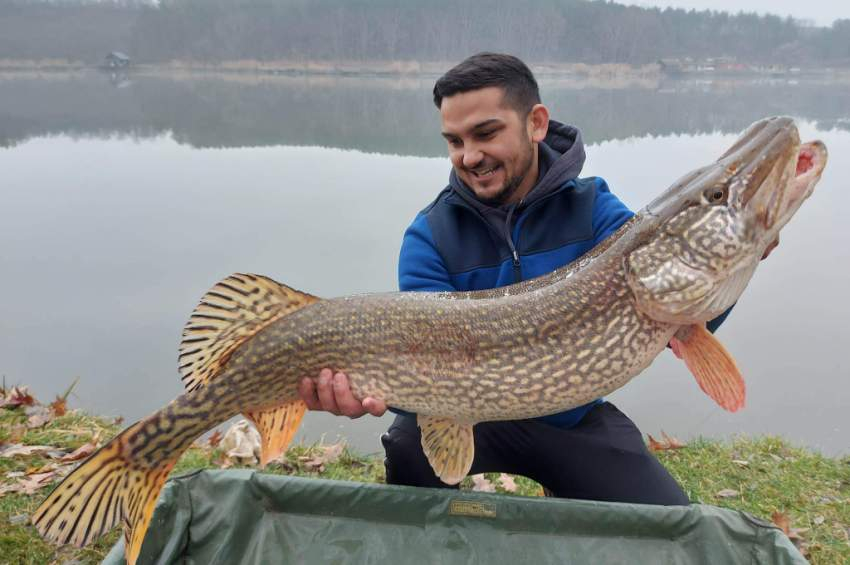Életében először pergetett, és rögtön 100 centis csukával nyitott
