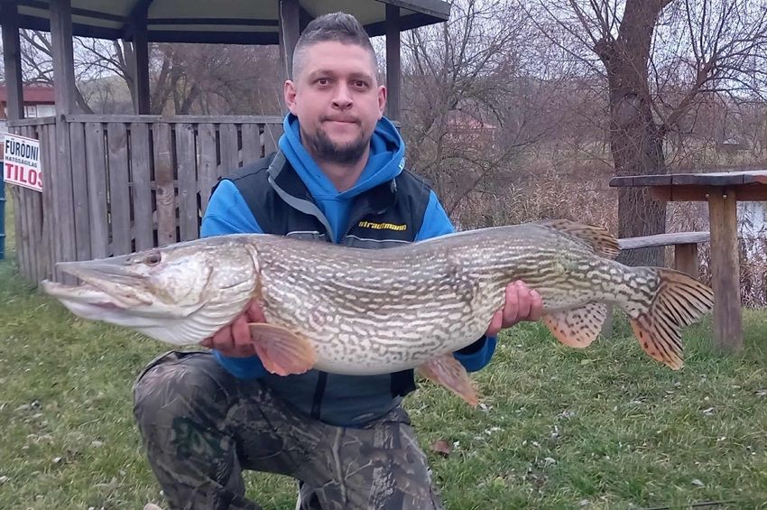 Kemény fárasztás után adta meg magát a méter feletti csuka Mátraterenyén
