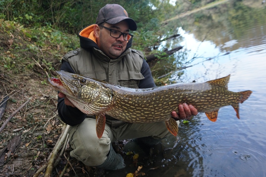 Perecbe hajlította a pergetőbotot a bodrogi csuka – fotókkal