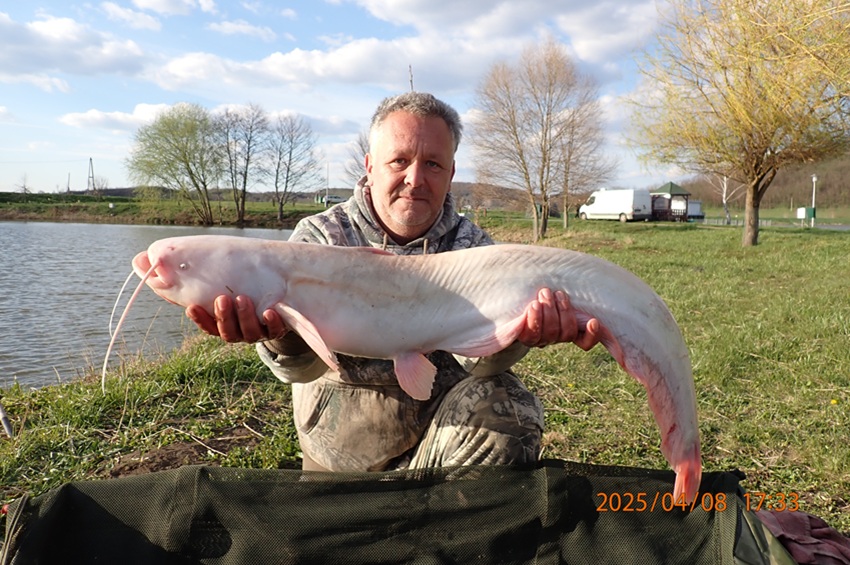 Három órán belül kettő szellemharcsát fogott a maconkai halmágnes