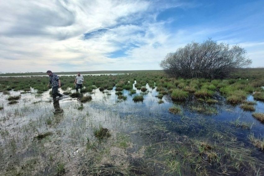Nem várt pillanatban leltek rá az Év Halára egy szakmári csapdában